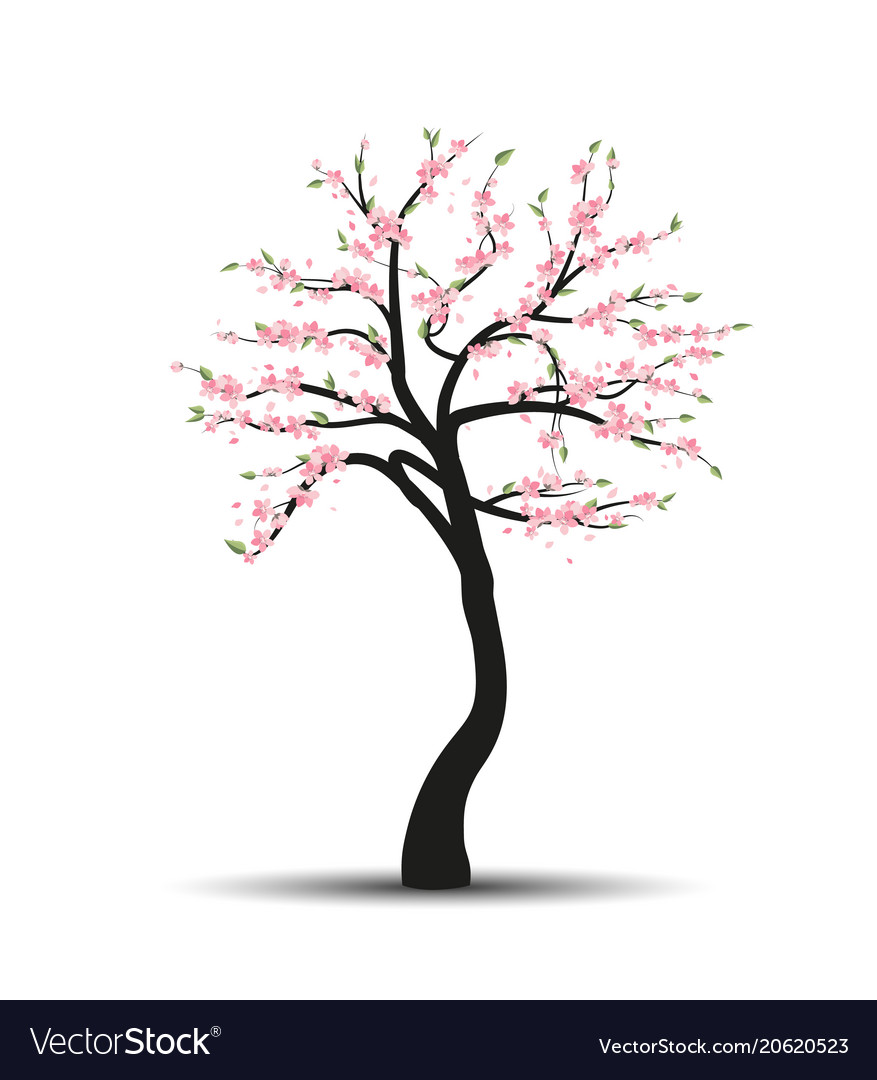 Tree sakura Royalty Free Vector Image - VectorStock