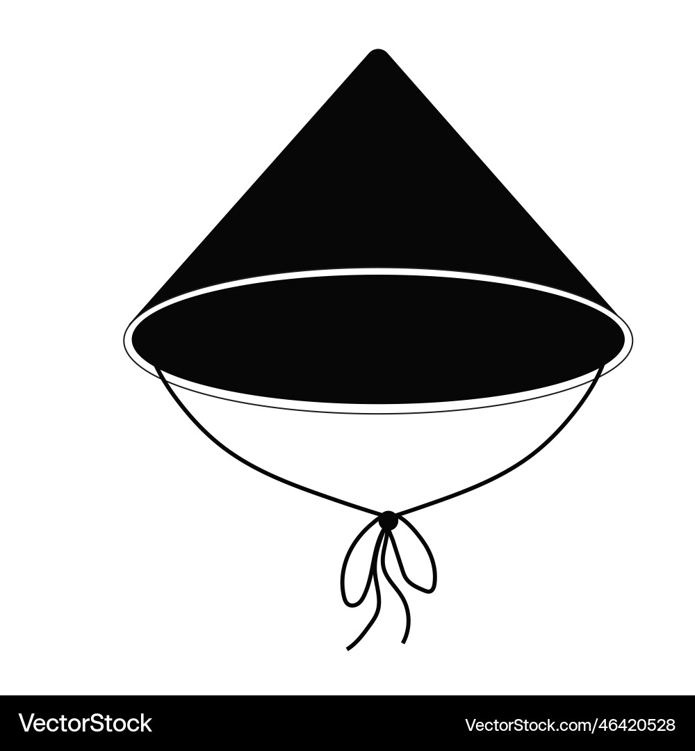 Conical traditional asian hat from natural Vector Image