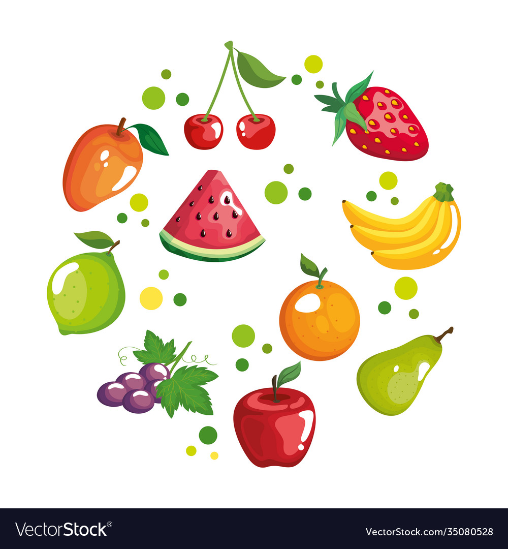 Fruits circle icon set design Royalty Free Vector Image