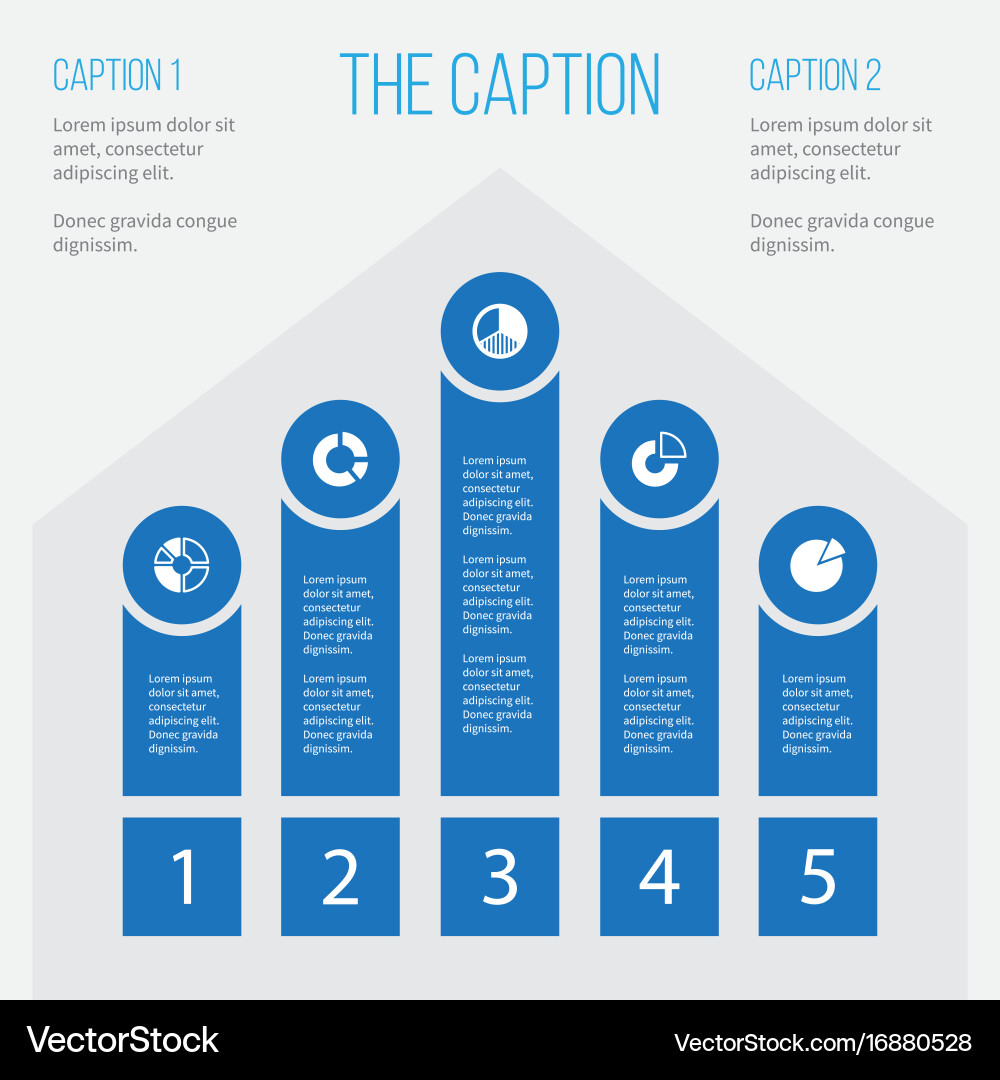 Icon chart set of report segment circle diagram Vector Image