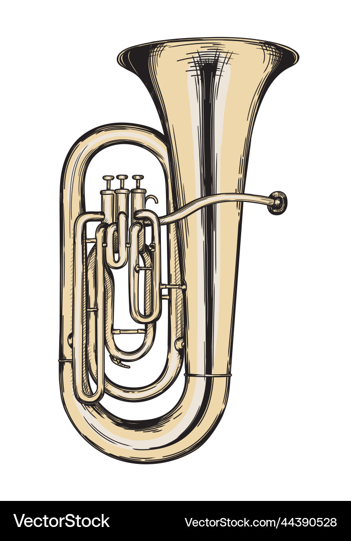 Musical instrument trumpet Royalty Free Vector Image