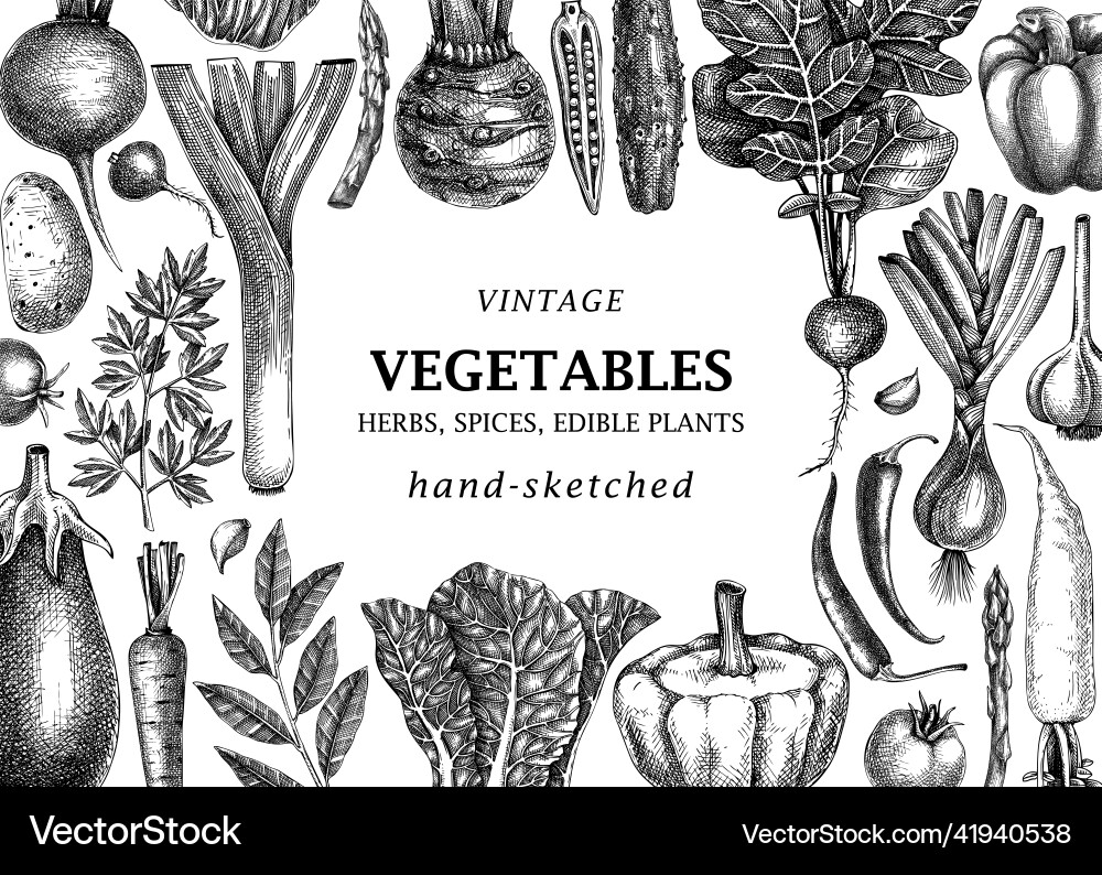 Hand-sketched vegetable vintage frame hand-drawn Vector Image