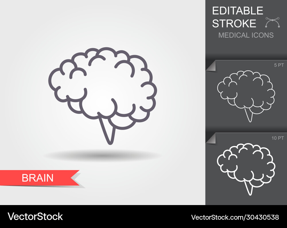 Human brain linear medical symbols with editable Vector Image