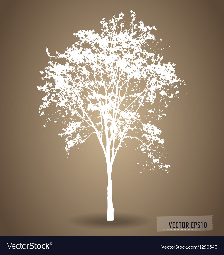 Abstract tree Royalty Free Vector Image - VectorStock