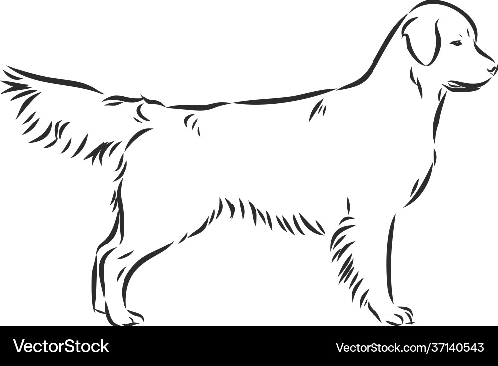Decorative portrait standing in profile dog Vector Image