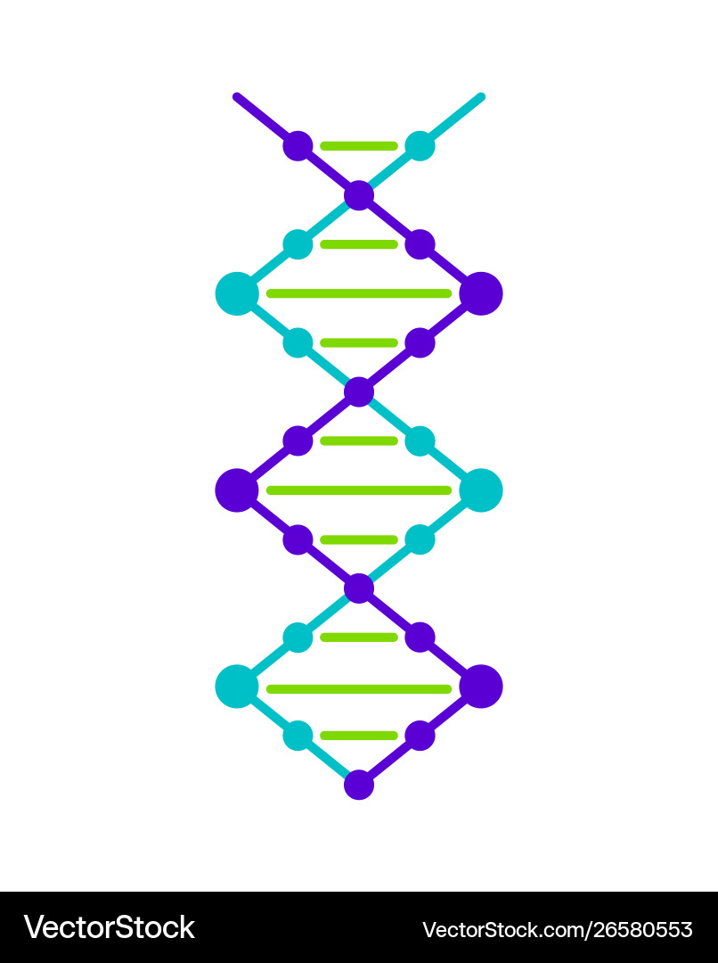 Abstract dna strand symbol isolated on white Vector Image