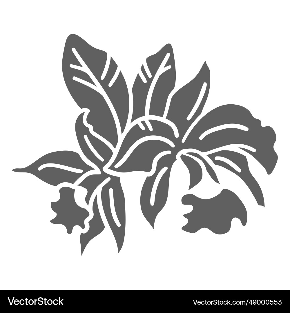 Simple cut out orchid flower Royalty Free Vector Image