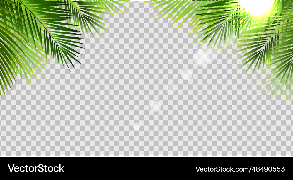 Tropical palm leaves frame and sun Royalty Free Vector Image