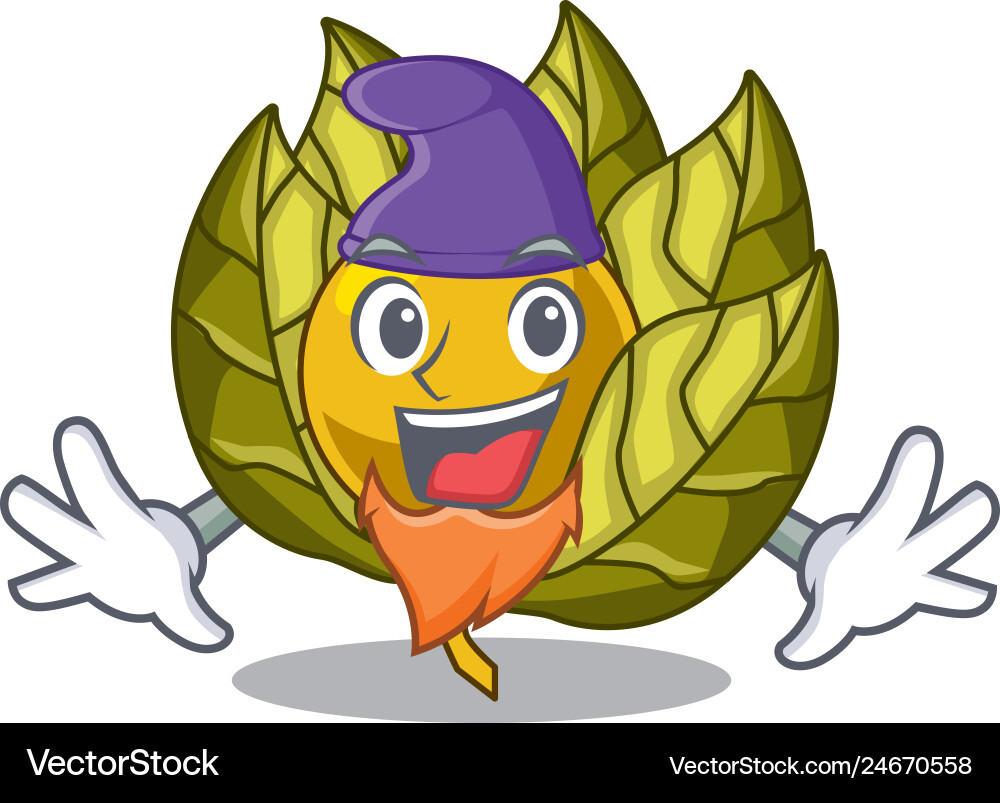 Elf physalis fruit in a cartoon bowl Royalty Free Vector