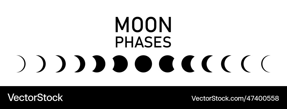 Moon phases icon phases the whole cycle from Vector Image