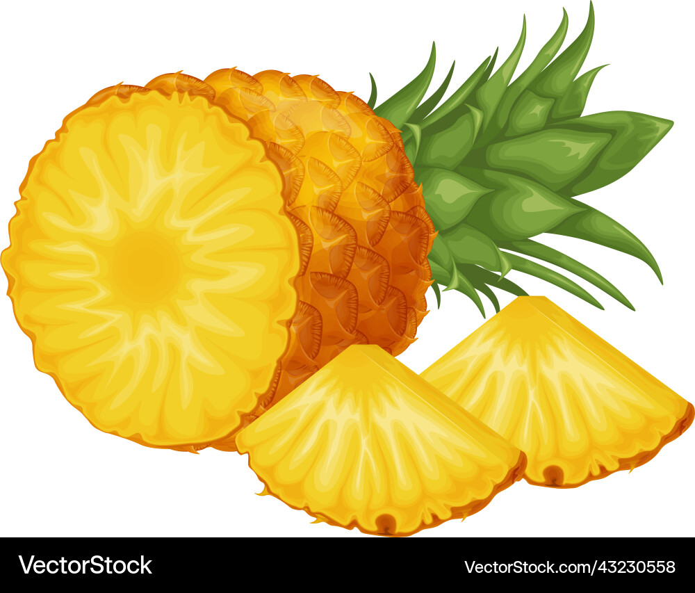 Pineapple image of cut into pieces Royalty Free Vector Image