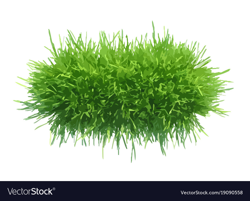 Tuft Of Grass For The Banner Royalty Free Vector Image