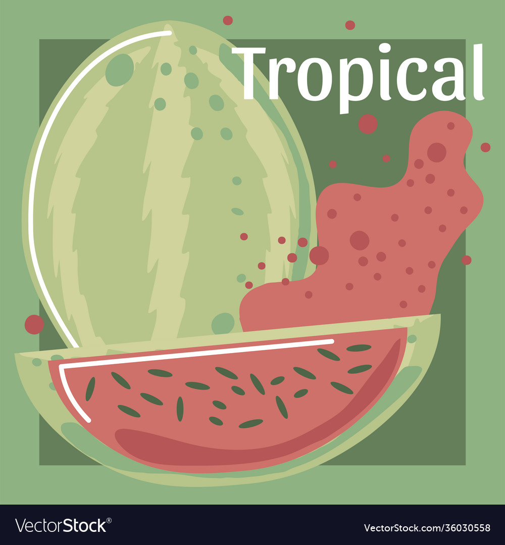Watermelon fresh fruit organic healthy food Vector Image