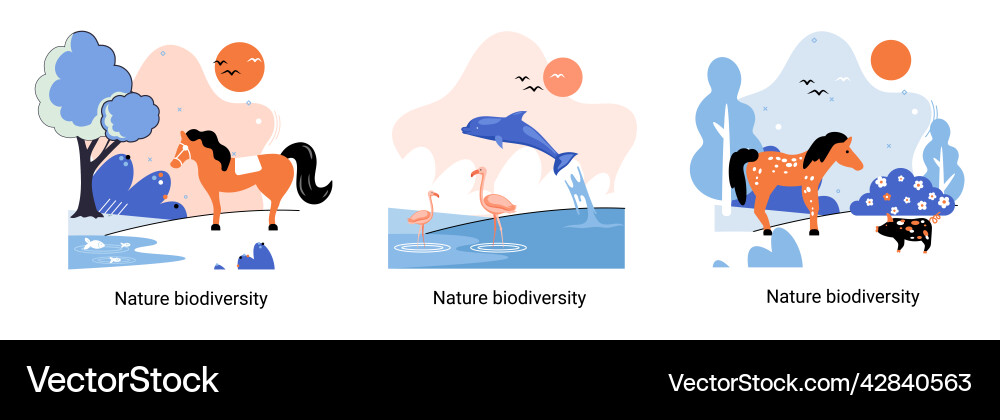 Biodiversity in nature as environment variety Vector Image