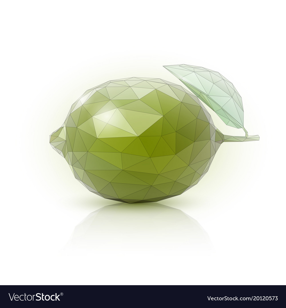 Lime Royalty Free Vector Image - VectorStock