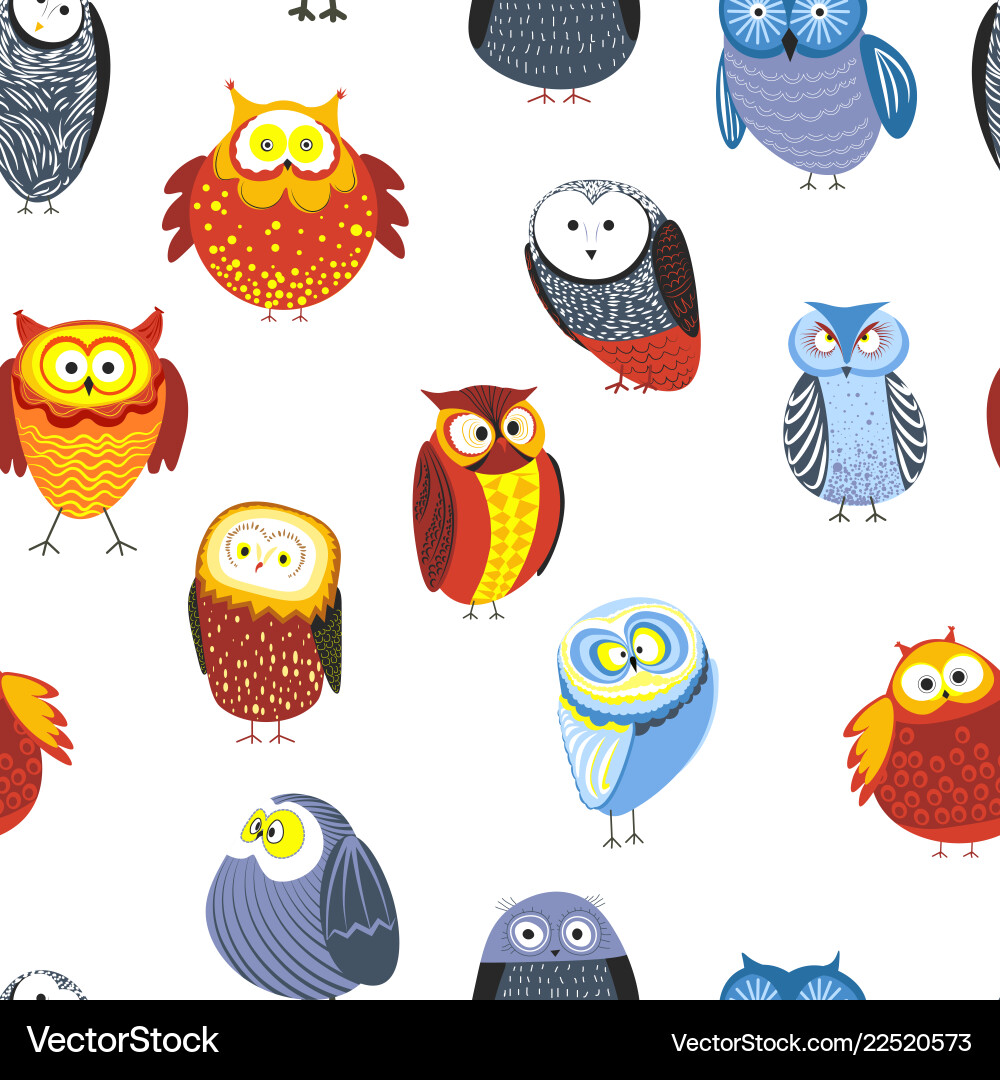 Owls cartoon kid funny characters with feather Vector Image