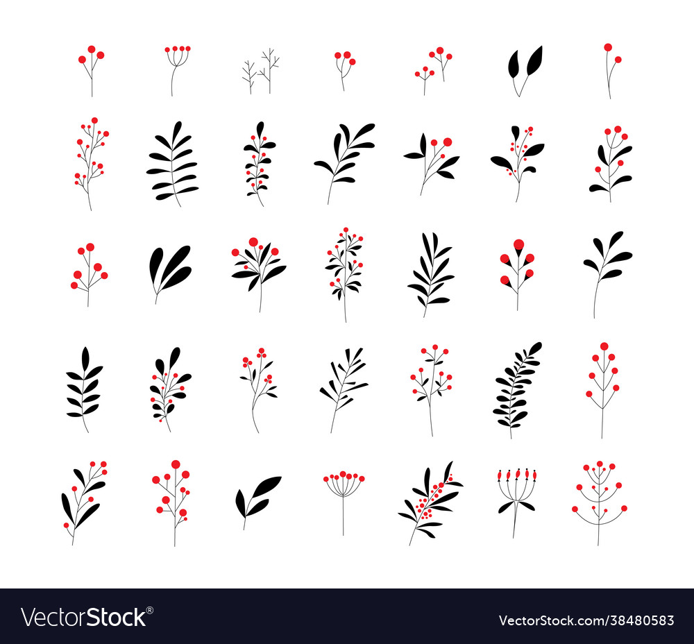 Bundle different branches Royalty Free Vector Image