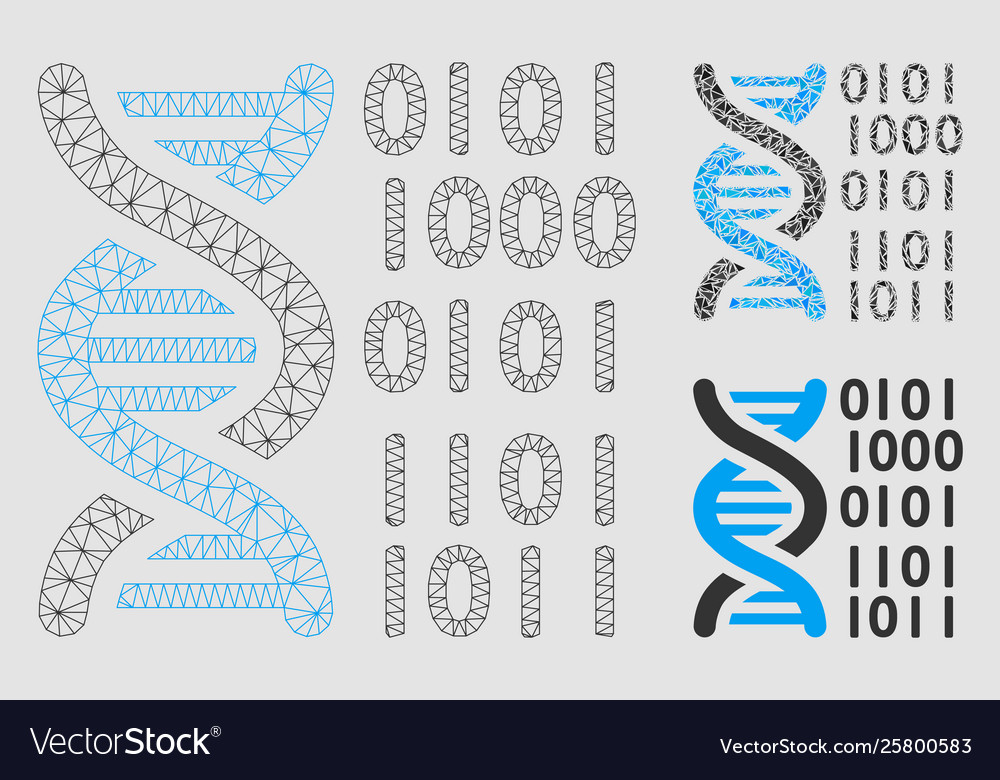 Dna binary code mesh carcass model and Royalty Free Vector