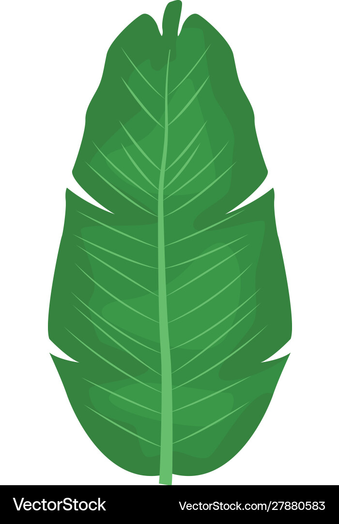 Tropical leaf icon colorful design Royalty Free Vector Image
