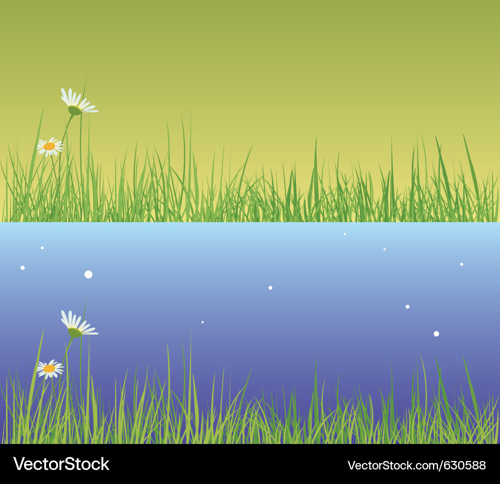 Field grass day and evening Royalty Free Vector Image