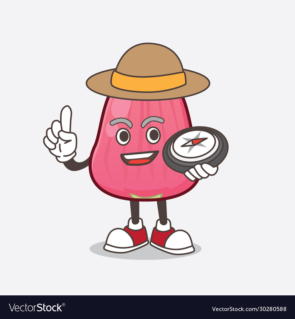 Java apple cartoon mascot character having Vector Image