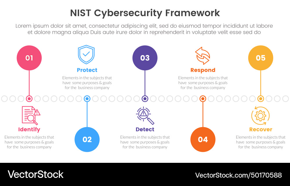 Nist cybersecurity framework infographic 5 point Vector Image
