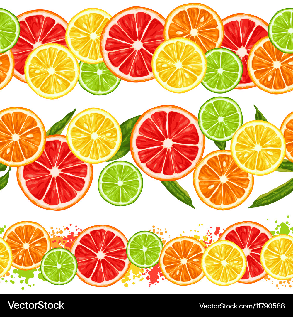 Seamless pattern with citrus fruits slices mix Vector Image