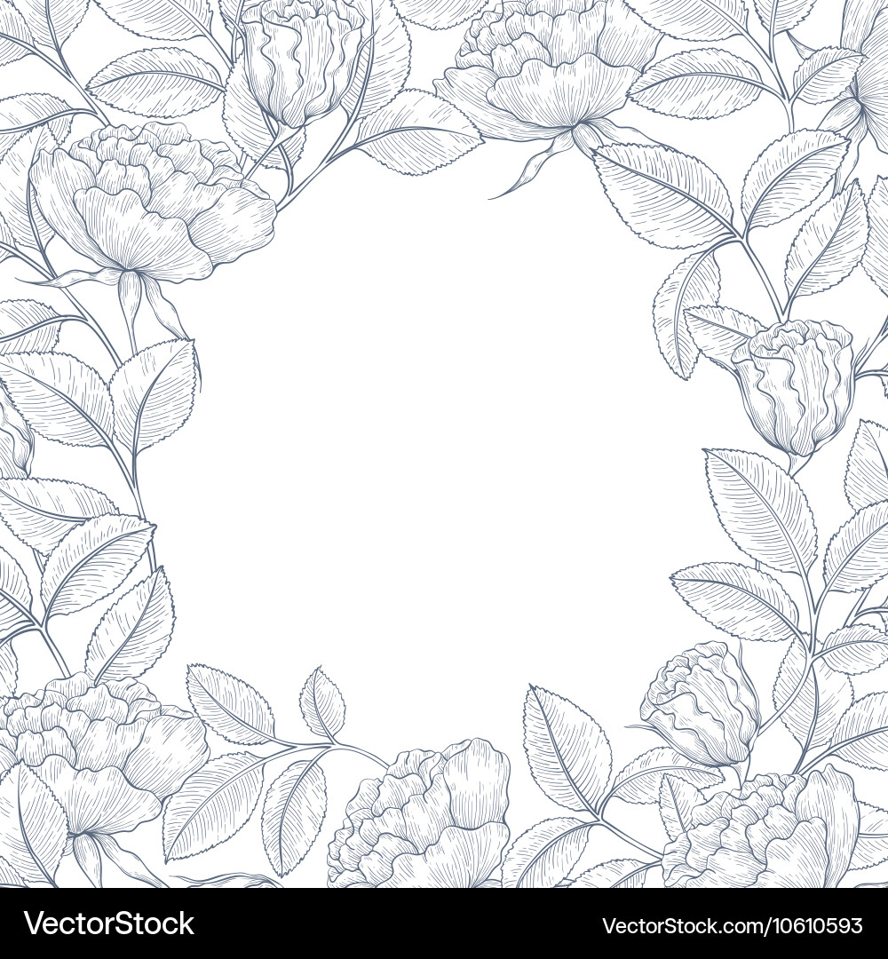 Decorative english garden rose Royalty Free Vector Image