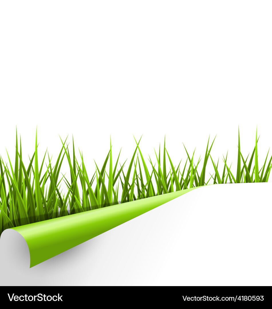 Green grass with ripped paper sheet isolated Vector Image