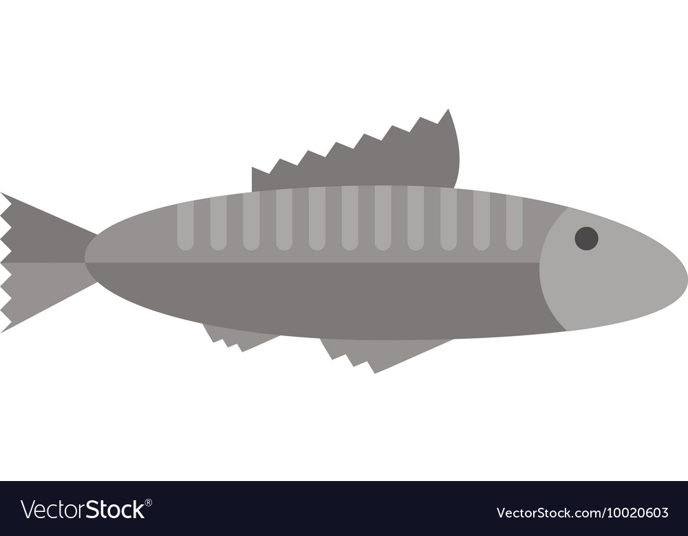 Fish Royalty Free Vector Image - VectorStock