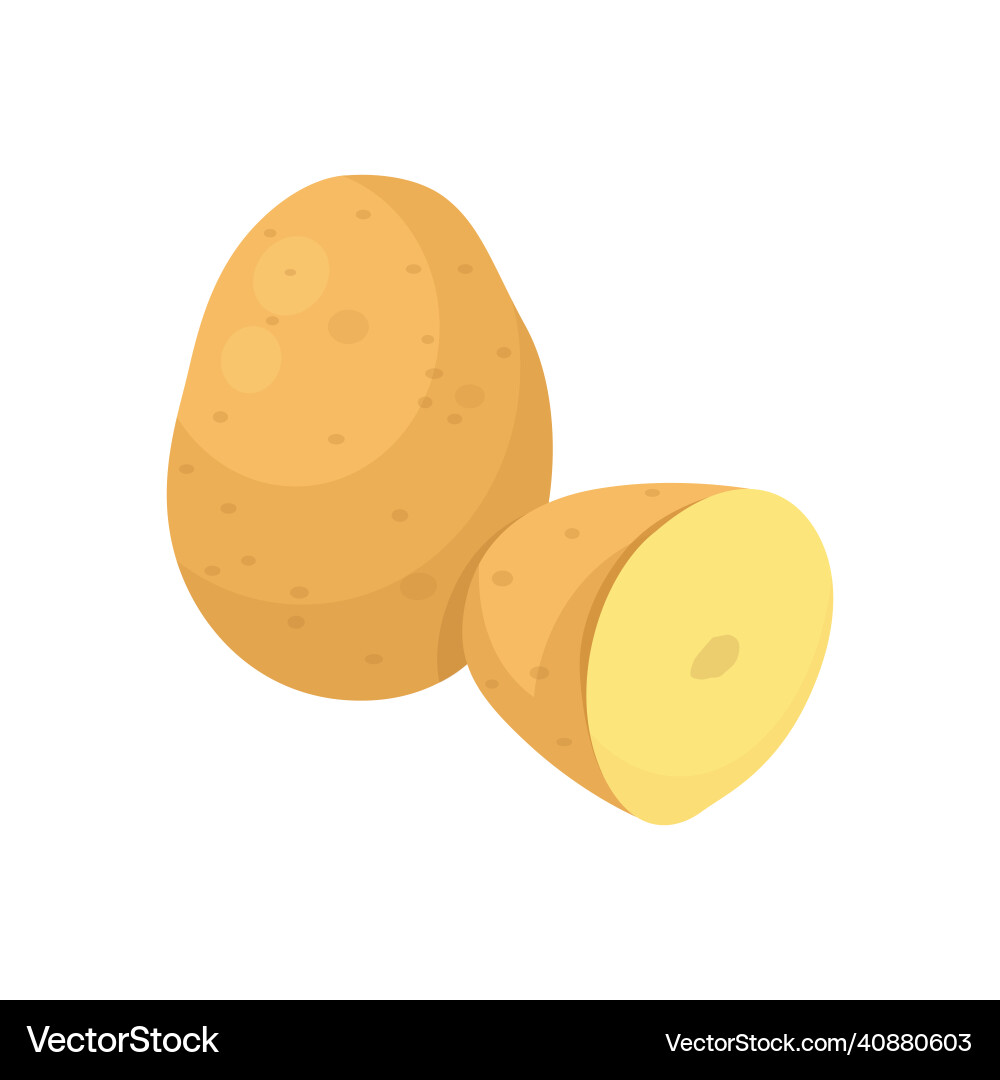 Flat of potato isolated on white background Vector Image