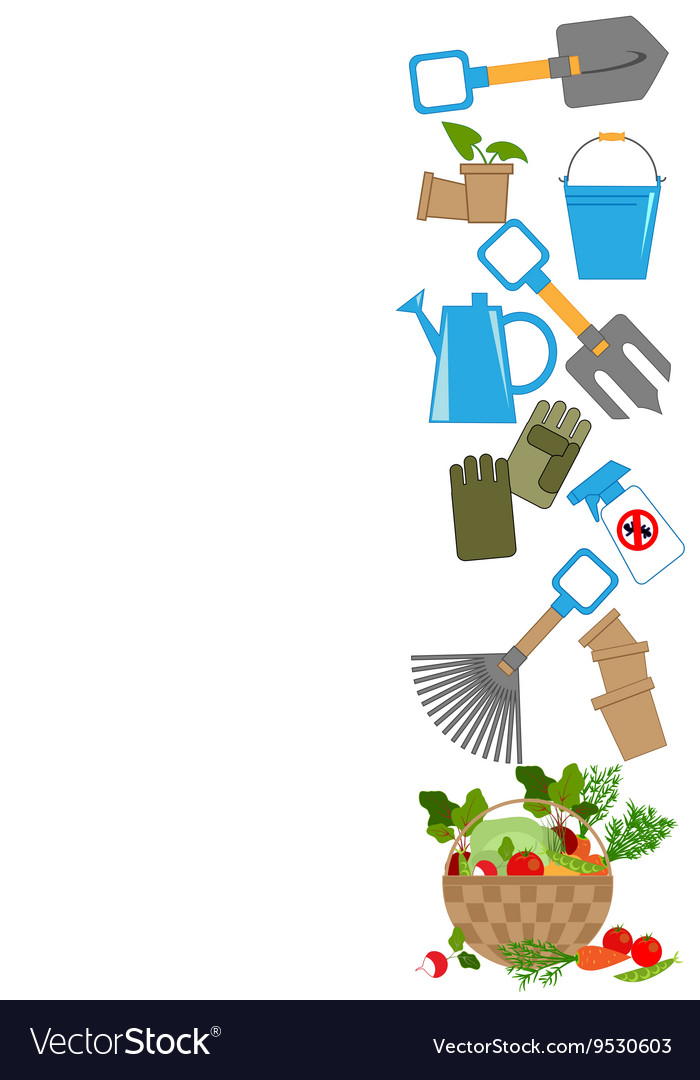 Garden tools and fresh vegetables Royalty Free Vector Image
