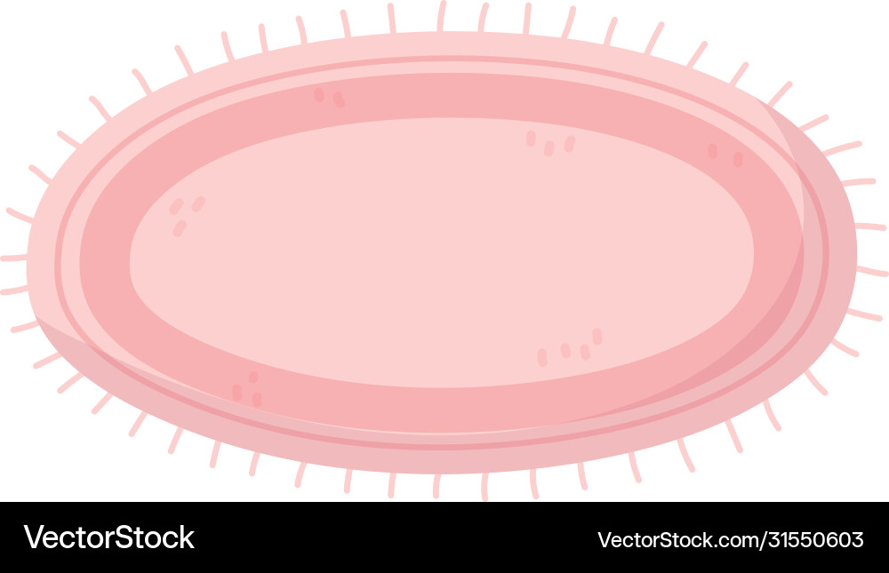 Pink round carpet decoration interior isolated Vector Image