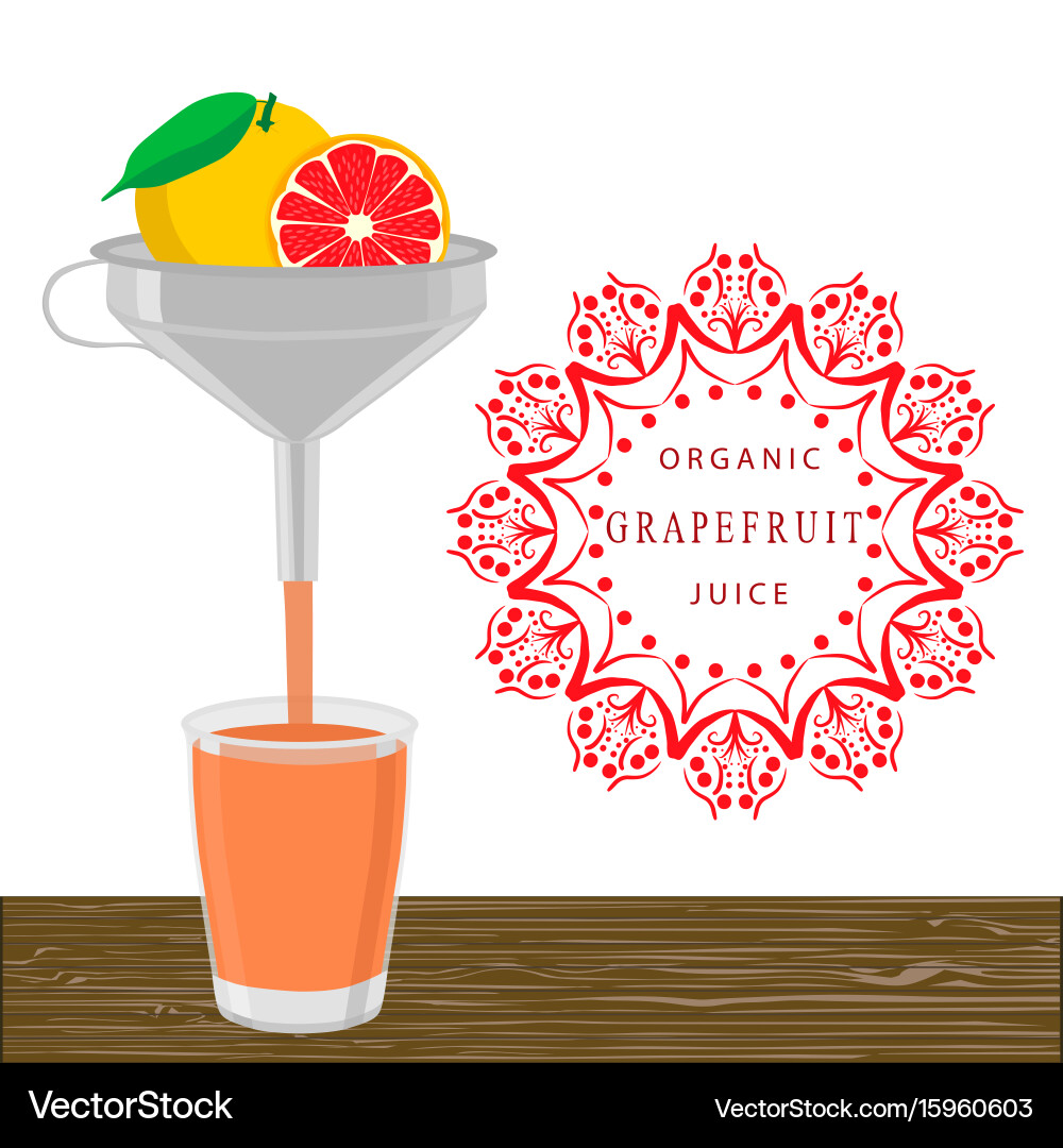 Theme grapefruit Royalty Free Vector Image - VectorStock