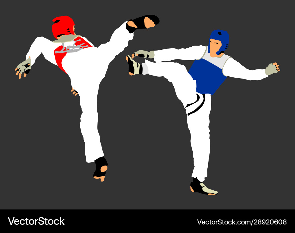 Fight between two taekwondo fighters isolated Vector Image