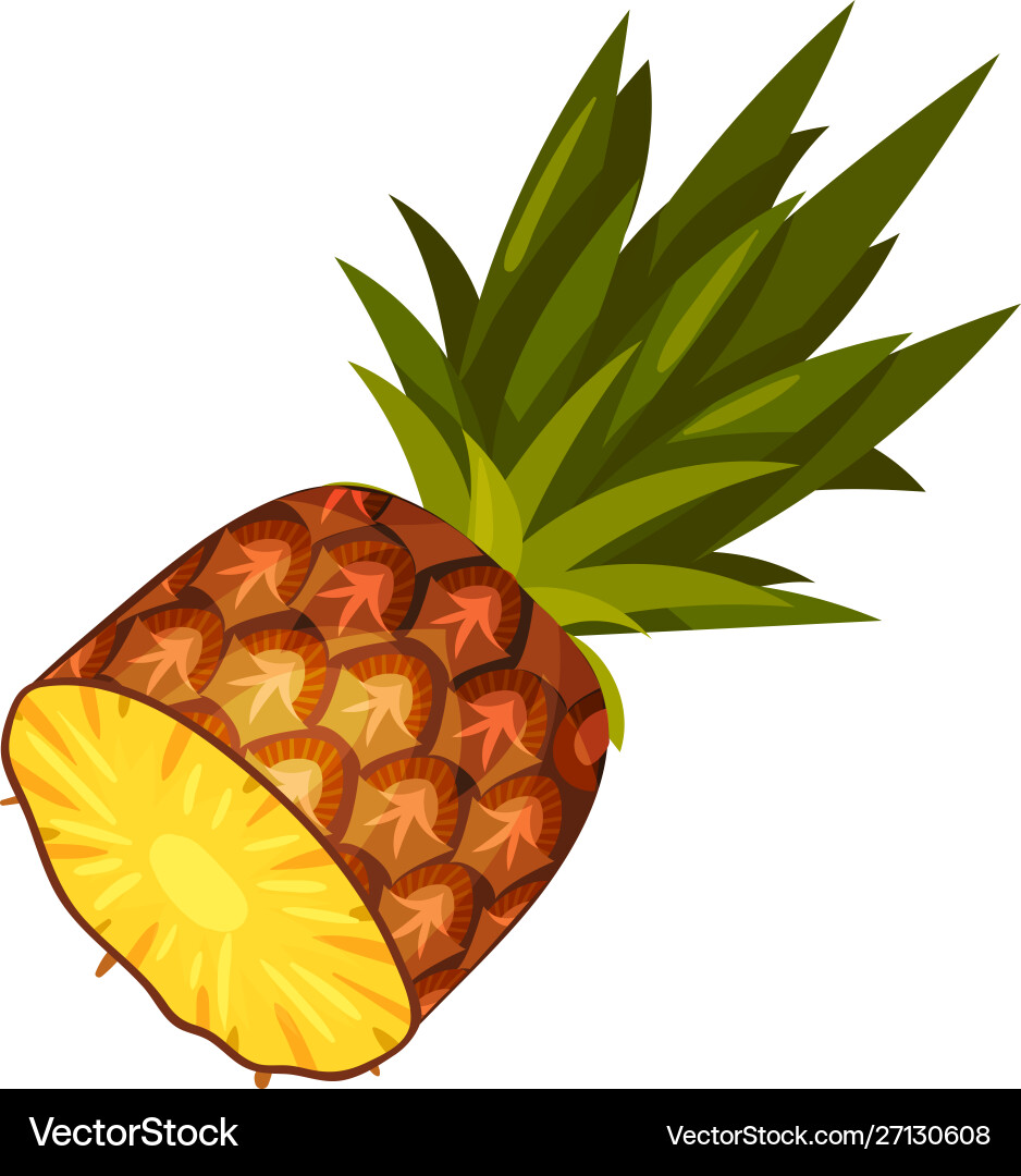 Half a pineapple on white Royalty Free Vector Image