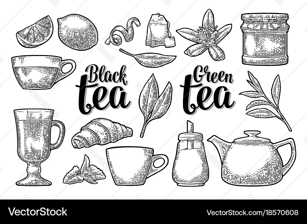 Set tea with lettering vintage engraving Vector Image