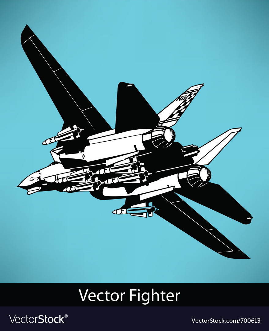 Fighter Royalty Free Vector Image - VectorStock