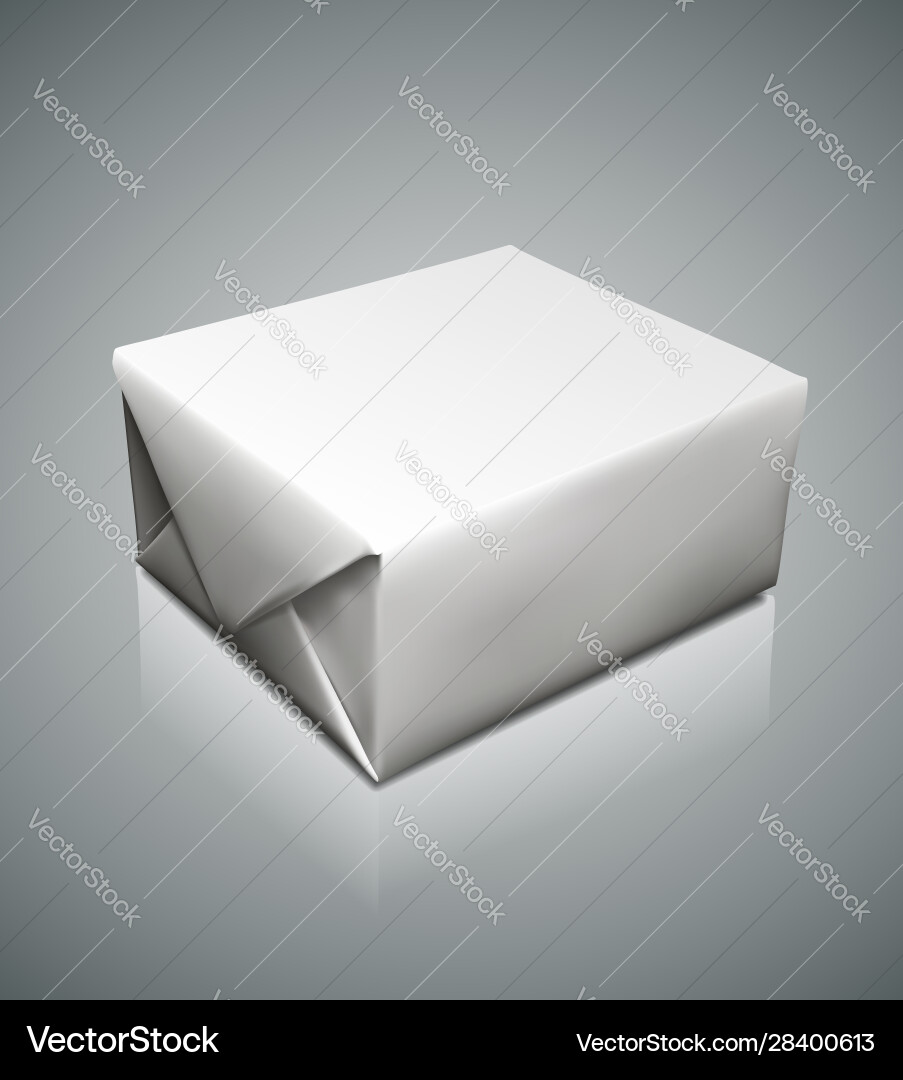 Graphic photorealistic blank paper packaging box Vector Image