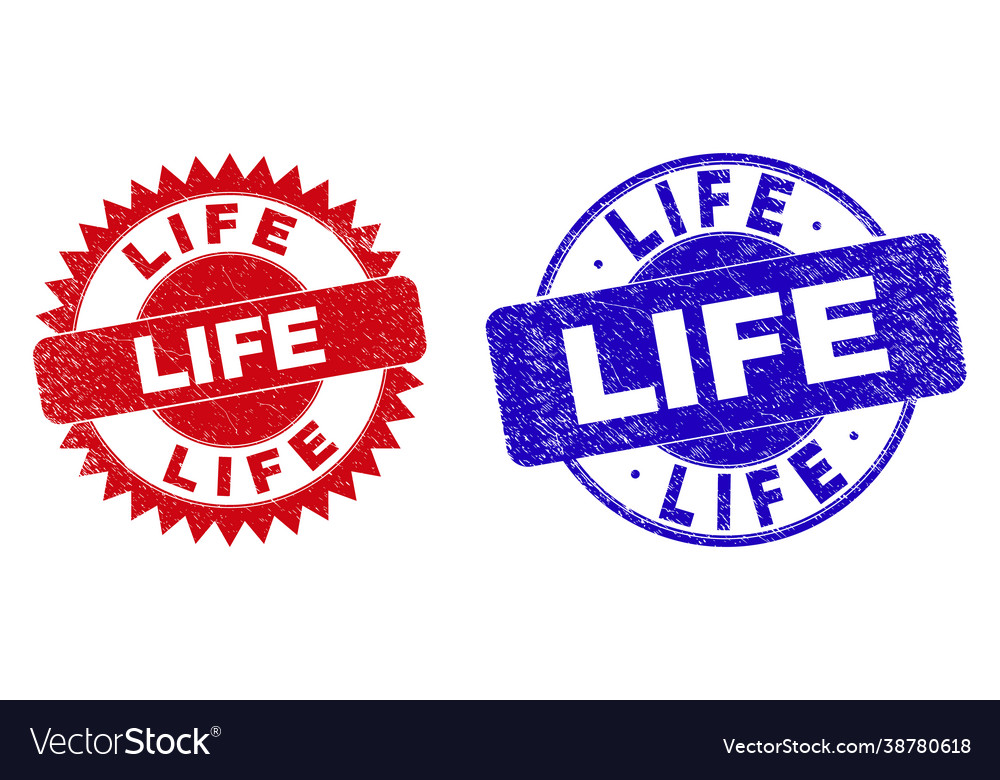 Life rounded and rosette seals with corroded Vector Image