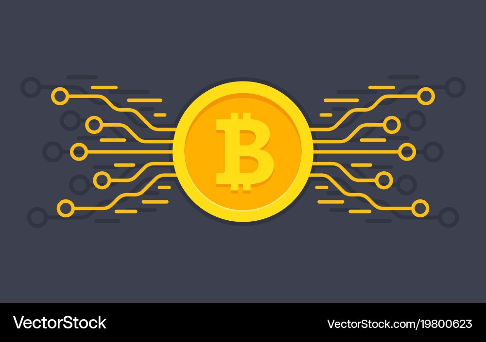 Bitcoin digital currency digital money concept Vector Image