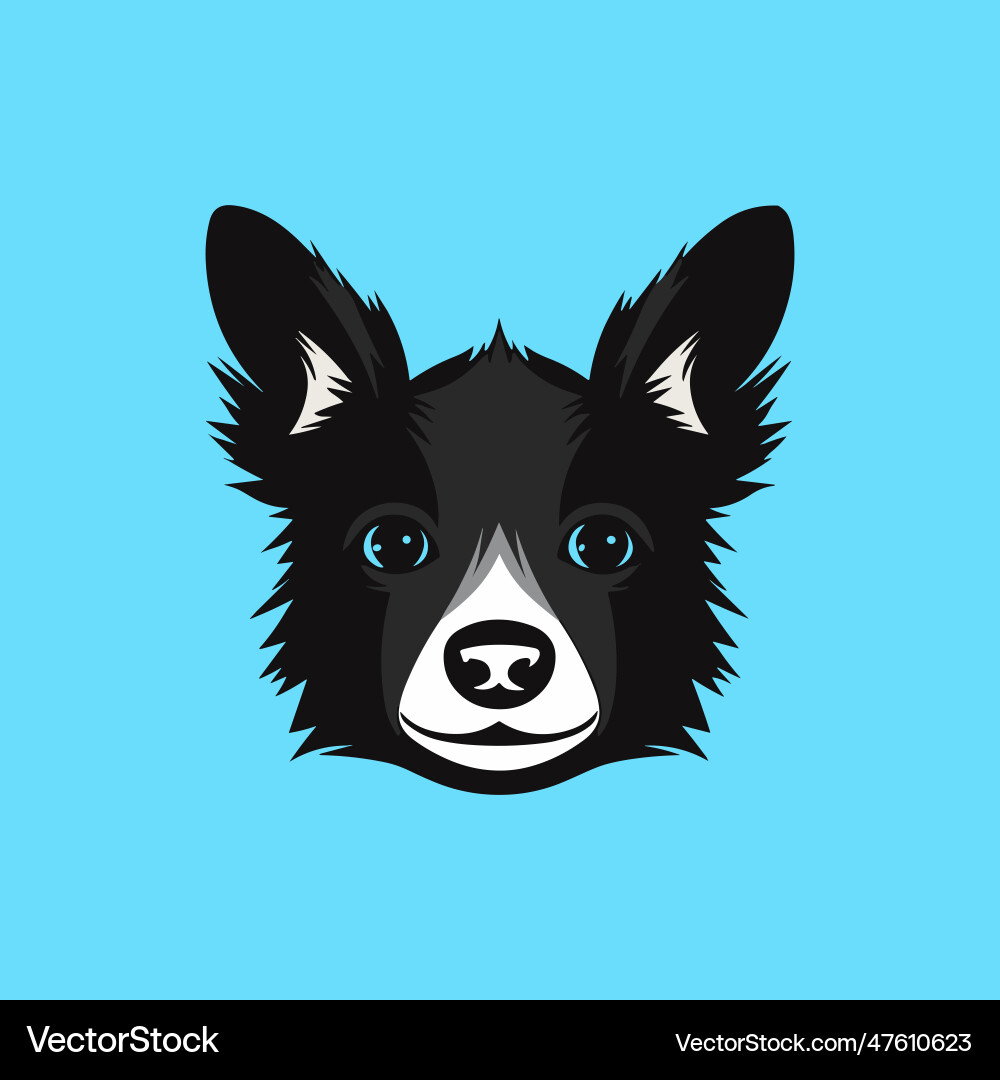 Border collie head icon dog face simple design Vector Image