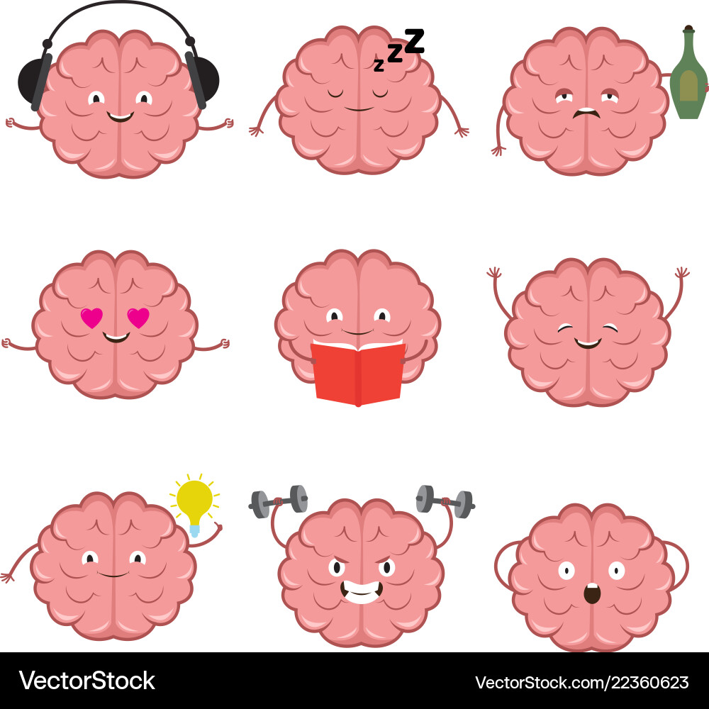 Funny strong healthy and smart brain brains Vector Image