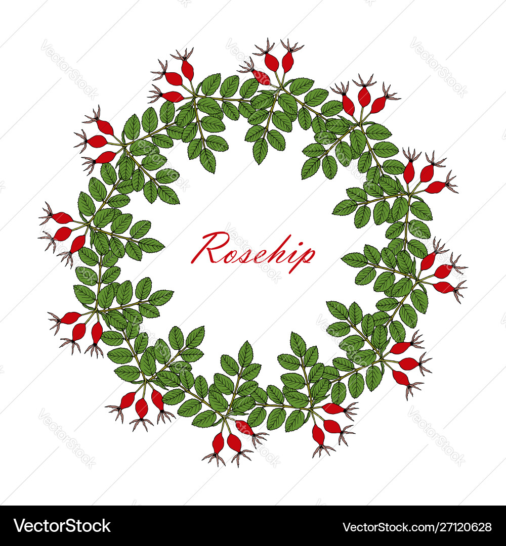 Natural design with rosehip wreath Royalty Free Vector Image