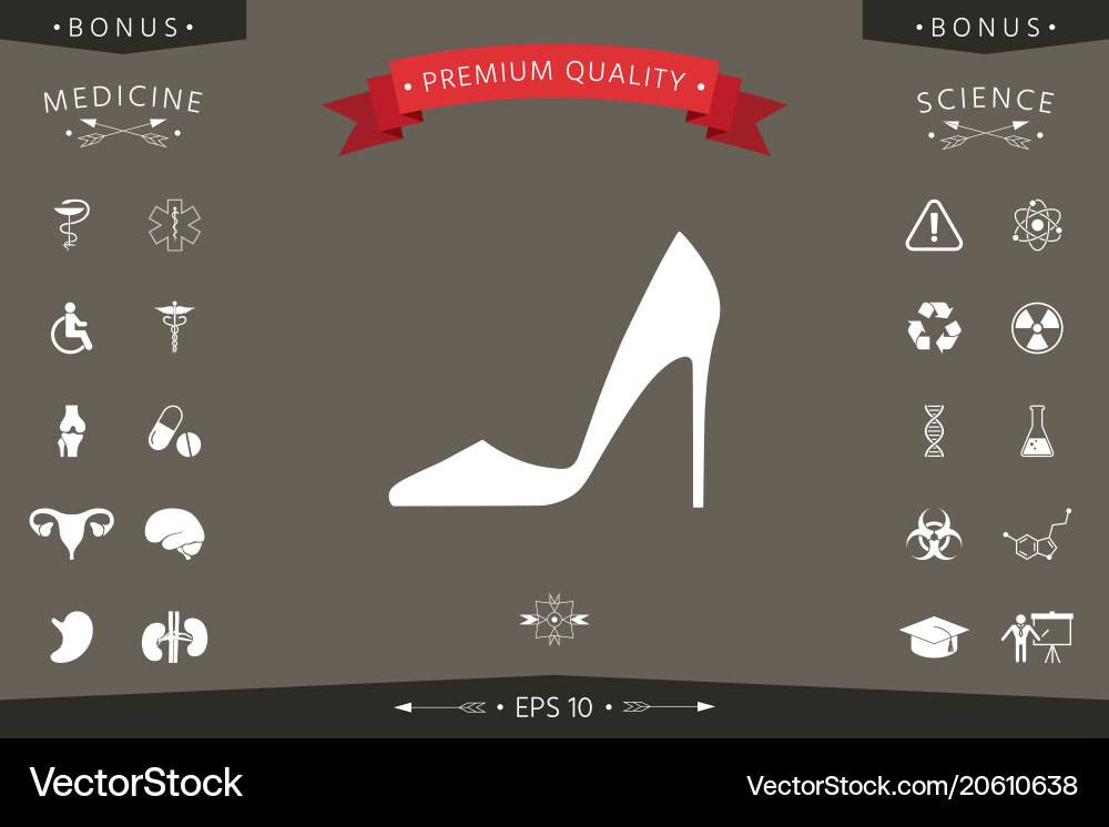 Elegant women shoe Royalty Free Vector Image - VectorStock