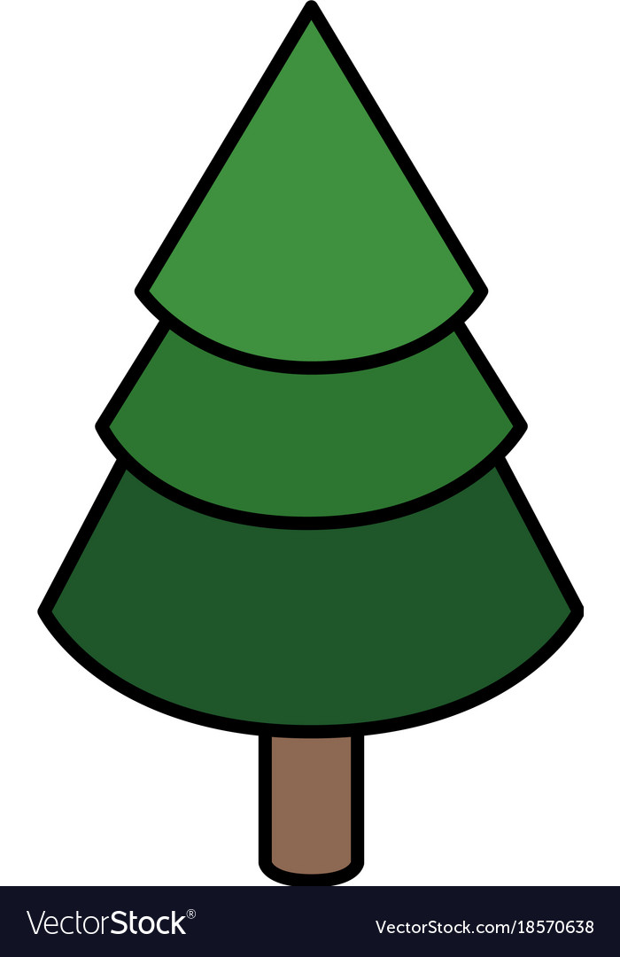 Pine tree design Royalty Free Vector Image - VectorStock