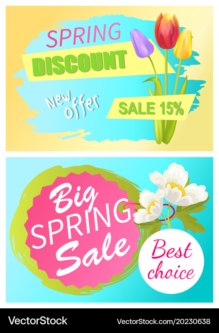 Spring discount offer sale advertisement sticker Vector Image