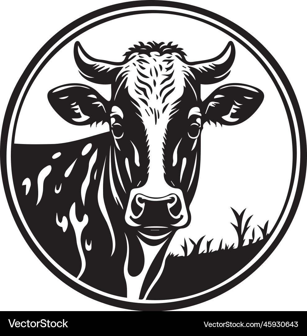 Black angus logo design template cow bull Vector Image