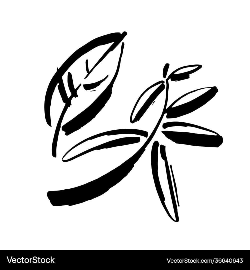 Leaf icons isolated on white background logo sign Vector Image