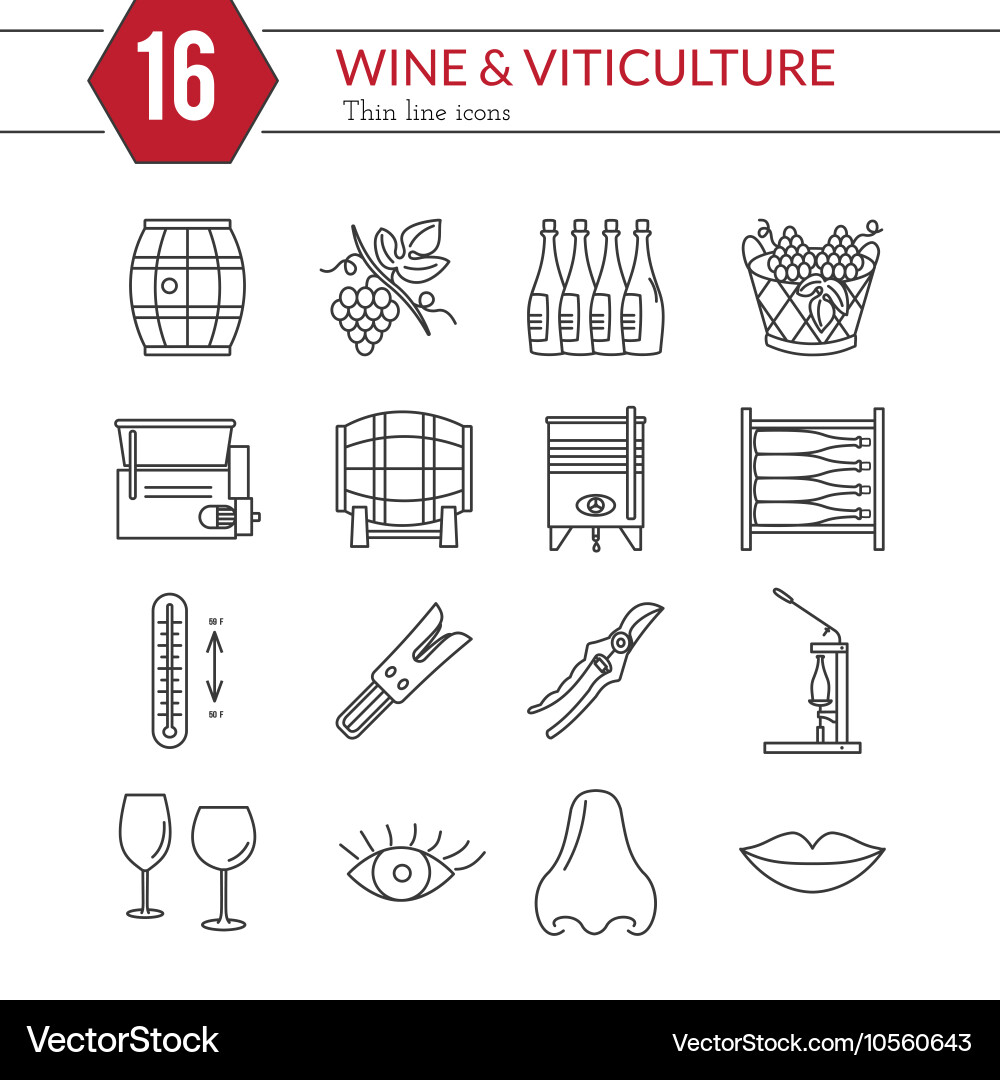 Set of winemaking wine tasting icons Royalty Free Vector